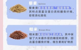 糙米是什么米_糙米和大米有什么区别