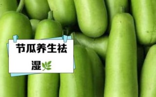 节瓜有哪些品种_节瓜图片大全怎么识别
