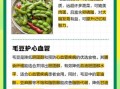 毛豆的营养价值_毛豆吃了有什么好处