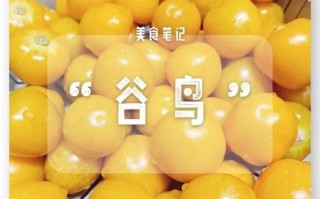 谷鸟水果的功效_谷鸟水果有什么作用