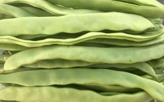 吃了八分熟的芸豆会中毒吗_芸豆中毒症状