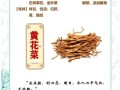 黄花菜的功效与作用_黄花菜怎么吃最营养