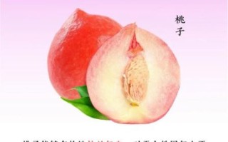 桃的功效与作用_桃的禁忌有哪些
