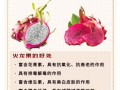 吃火龙果有什么好处_火龙果的营养价值