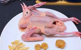 鸽子汤怎么做给小孩吃_鸽子肉适合孩子吃吗