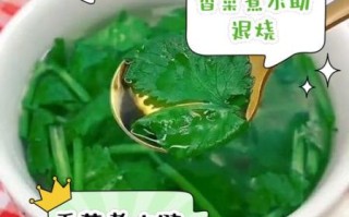 香菜煮水喝真的能减肥吗_香菜水减肥原理