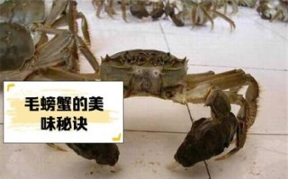 毛蟹的毛怎么处理_毛蟹清洗去毛技巧