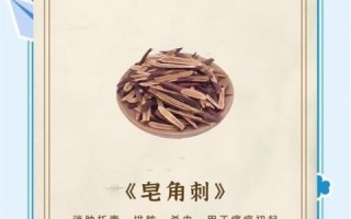 皂角刺的功效与作用_皂角刺可以治什么病