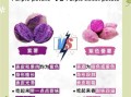 紫薯不适合什么人吃_哪些人不能吃紫薯
