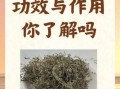 鹅不食草的功效与作用及用量_鹅不食草一天吃多少克