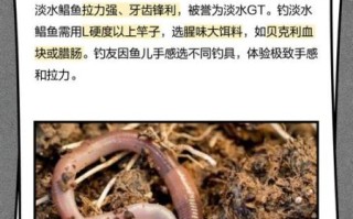 淡水白鲳多少钱一斤_淡水白鲳价格走势