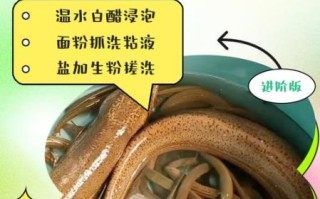 黄鳝怎么处理干净_黄鳝去粘液方法