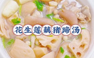 猪脚炖花生莲藕汤的做法_怎么炖才软糯