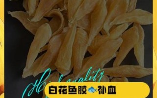 白花胶的功效与作用_白花胶怎么吃最好