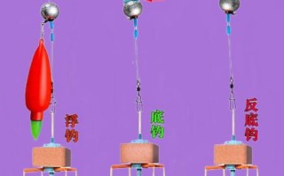 鲢鱼怎么钓_钓鲢鱼用什么饵料最好