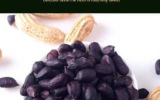 黑皮花生是转基因吗_黑皮花生安全吗