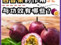 百香果的功效与作用_一天吃几个合适