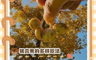 银杏果怎么吃_银杏果的食用方法