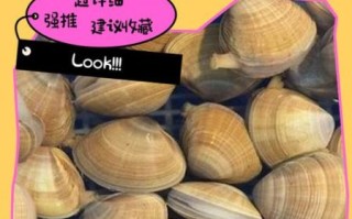 黄蚬子怎么清洗_黄蚬子怎么吐沙干净