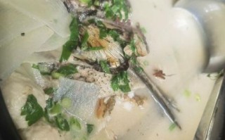 鲤鱼炖汤怎么做好吃_鲤鱼汤去腥增鲜技巧