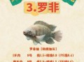 罗非鱼钓法技巧_罗非鱼用什么饵最好