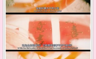 鱼图片唯美_如何拍出梦幻感