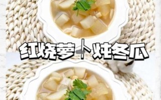 冬瓜萝卜汤的做法大全_冬瓜萝卜汤怎么做好喝