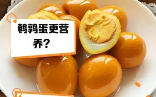 鹌鹑蛋和鸡蛋哪个好_营养价值对比