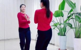 广场舞视频大全_如何自学广场舞