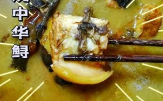 红烧鲟鱼怎么做才好吃_红烧鲟鱼的做法窍门