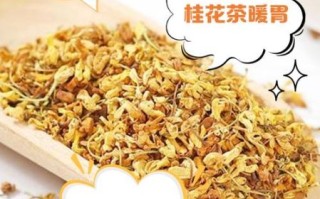 桂花茶的功效与作用_桂花茶怎么泡才正确