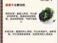 桑葚干怎么泡水喝_桑葚干泡水一次放几颗