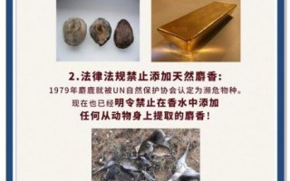 麝香的功效与作用价格_麝香多少钱一克