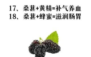 桑葚的功效与作用_桑葚怎么吃最营养