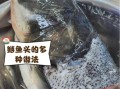 鲢鱼头有什么营养价值_鲢鱼头怎么做最补脑