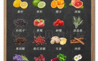 金汤力配方比例_金汤力怎么调最好喝