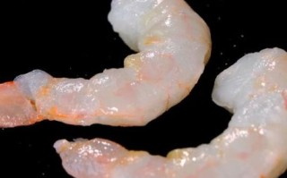 阿根廷红虾仁怎么选_阿根廷红虾仁多少钱一斤