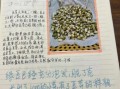 豆芽菜的爱歌词含义_为什么豆芽菜的爱这么火
