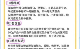 蛋白质粉什么时候吃最好_怎么吃吸收率最高