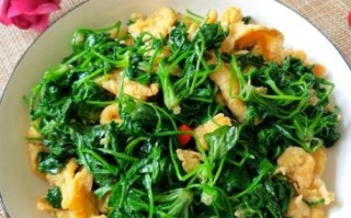 荠菜怎么做好吃又简单_荠菜最简单的家常做法