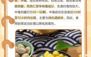 白果怎么处理才能吃_白果去毒的正确方法