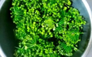 韭菜花酱怎么腌制_韭菜花酱的做法大全