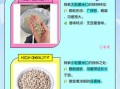 薏米买大的还是小的_薏米大小功效区别
