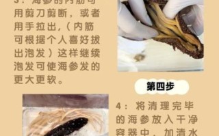 海参怎么泡发_海参涨发多久才最好