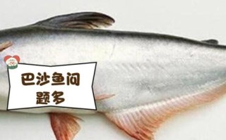 越南巴沙鱼有什么危害_越南巴沙鱼吃了会致癌吗