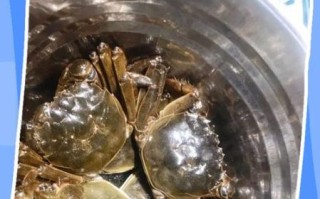 新鲜螃蟹怎么保存_活蟹冷藏能放多久