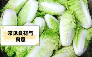 金边白菜属于什么菜系_金边白菜是哪里的菜