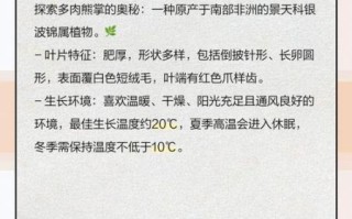 多肉熊掌怎么养_多肉熊掌繁殖方法