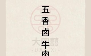 五香牛肉怎么煮_五香牛肉的做法步骤