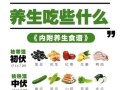 三伏天怎么调理身体_三伏天吃什么好